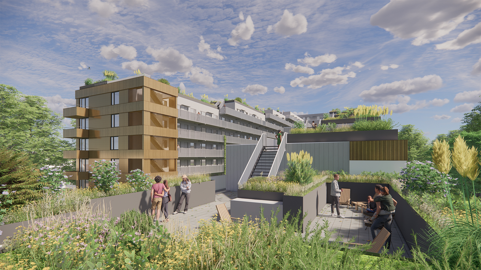 De Baron | FAAM Architects